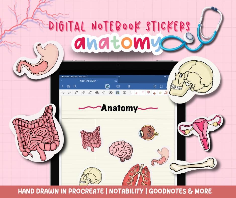 15 Digital Anatomy Stickers | Human Biology Stickers | Human Anatomy ...