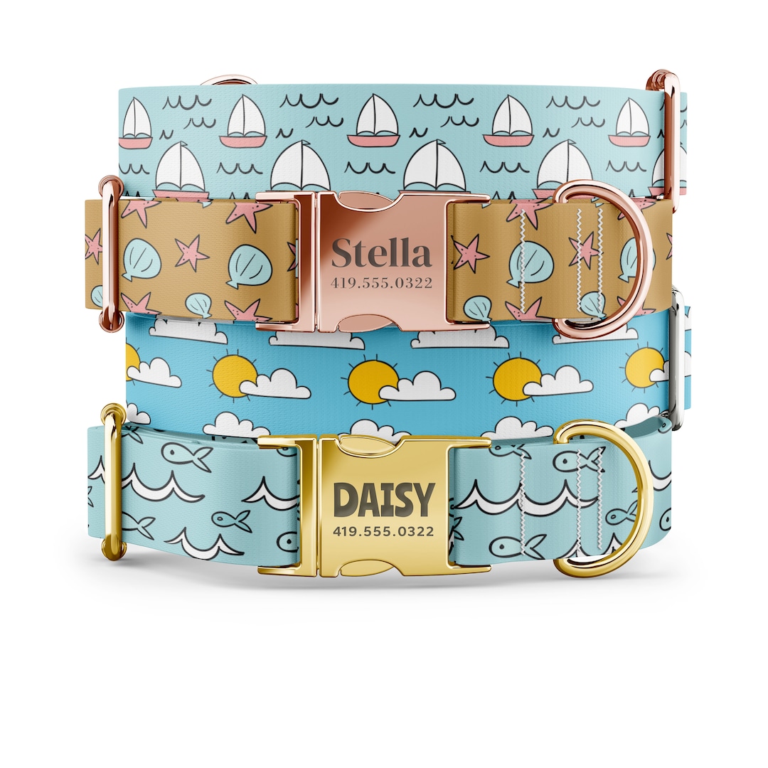 Pastel Beach Dog Collar: Engraved Gold Buckle, Summertime Pup Collar - Etsy