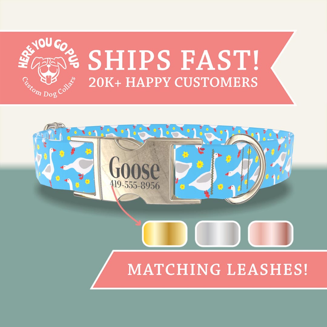 Goose Dog Collar - Blue Floral Cottagecore, Personalized Engraved ...
