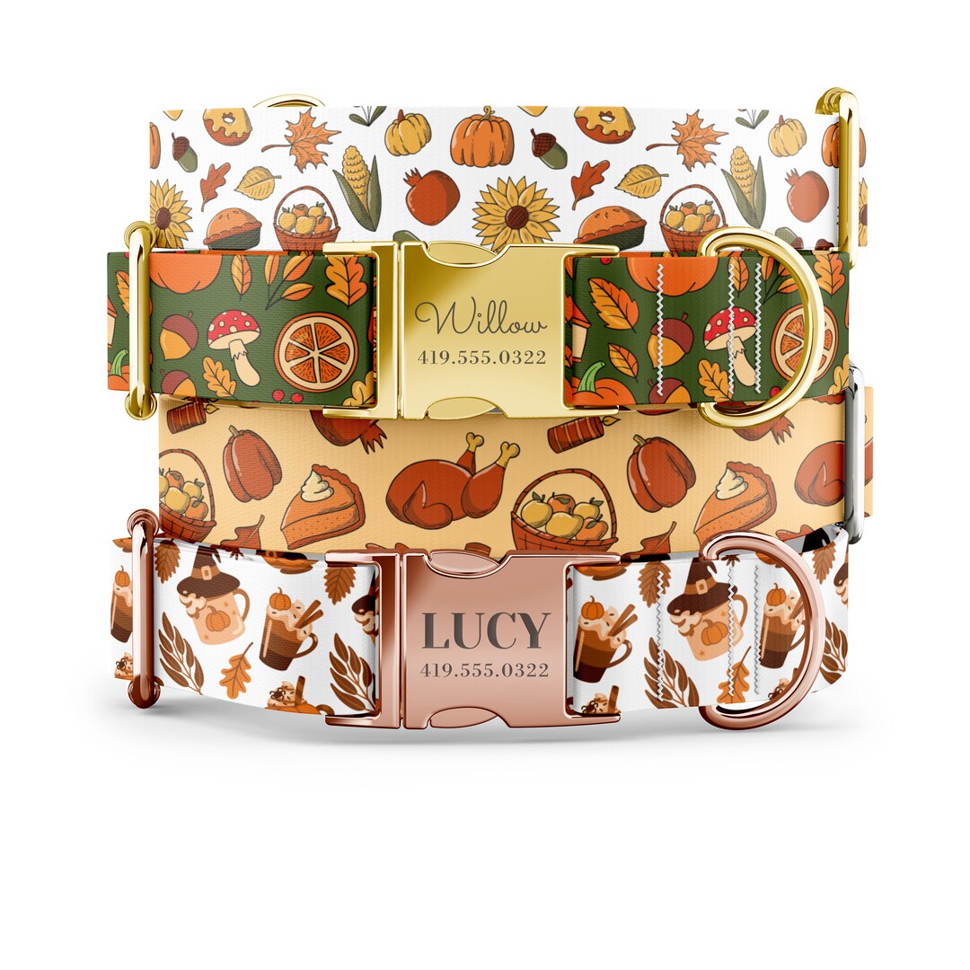 Thanksgiving Pup Elegance: Fall Theme Collars, Engraved Name Plate in ...