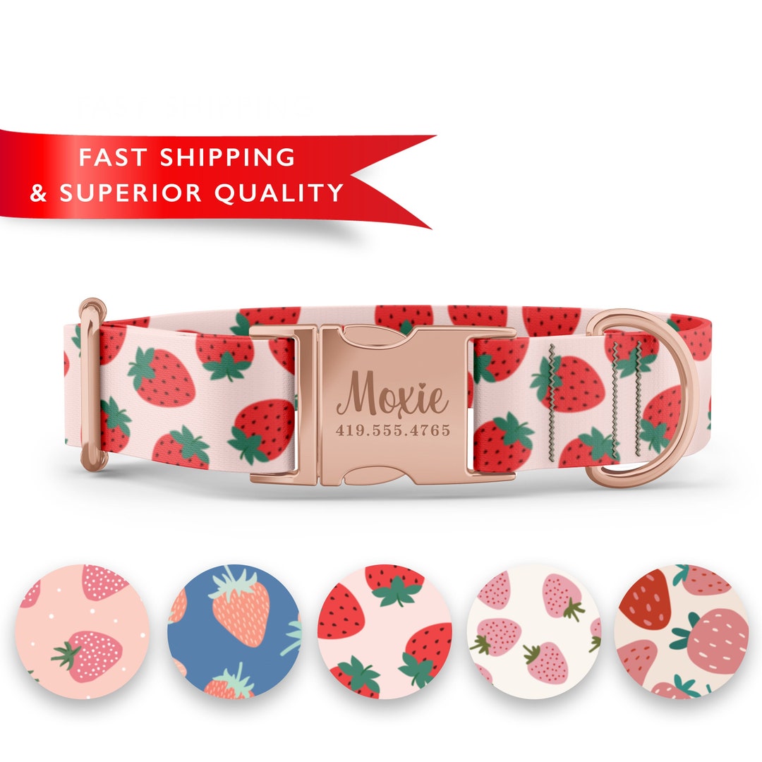 Strawberry Dog Collar Personalized, Custom Dog Collar With Name ...