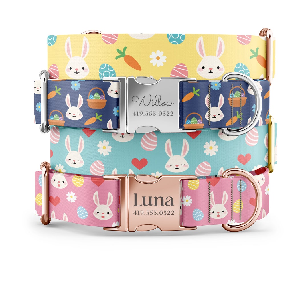 Easter Dog Collar Personalized, Custom Dog Collar With Name ...
