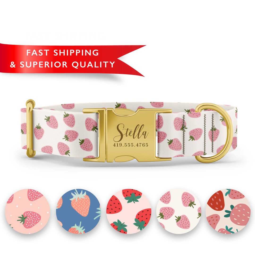 Strawberry Dog Collar Personalized, Custom Dog Collar With Name ...