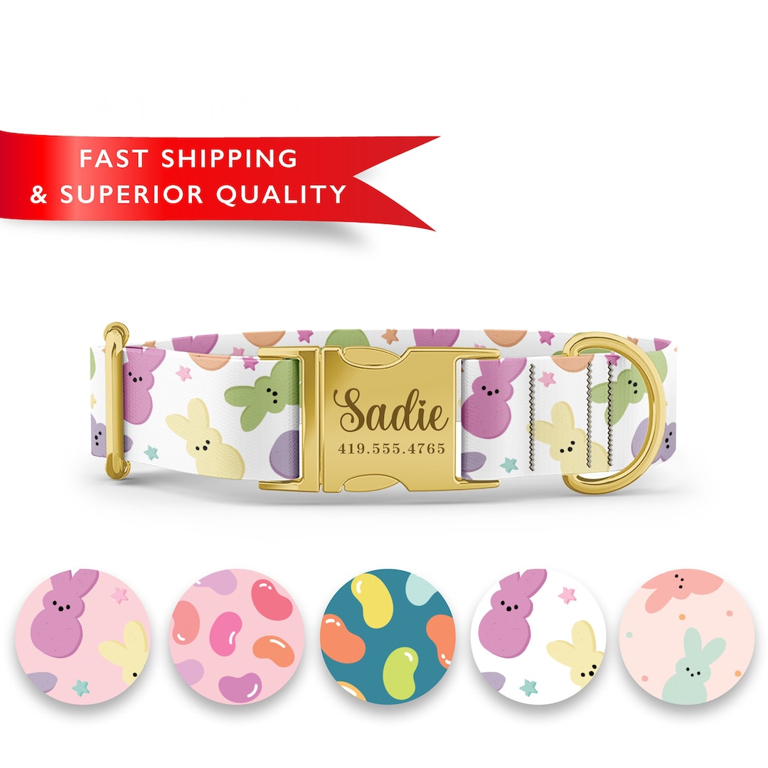 Easter Dog Collar Personalized, Custom Dog Collar With Name ...