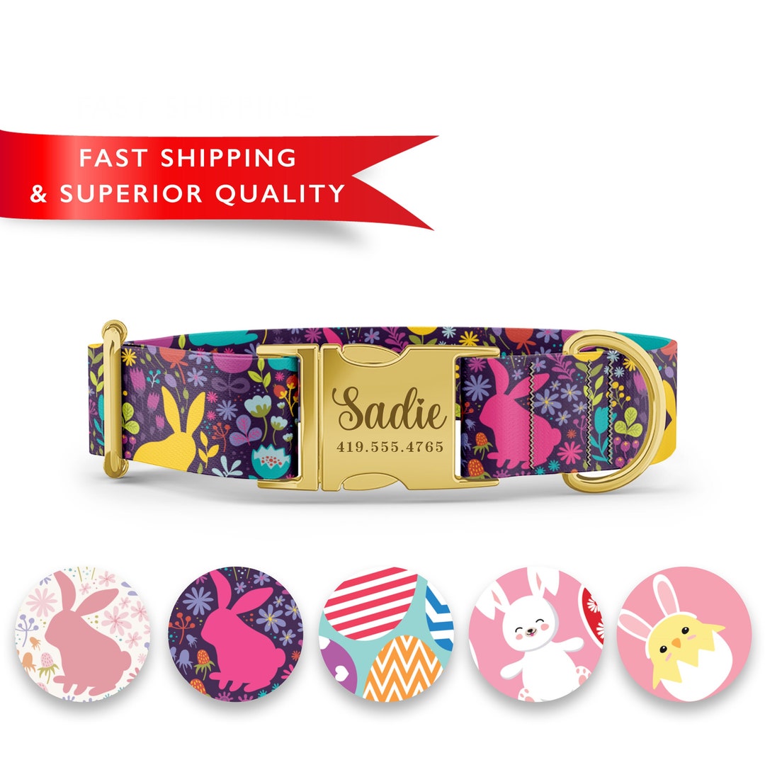 Easter Dog Collar Personalized, Custom Dog Collar With Name ...