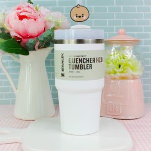 Kpop Friends 3D Printed STANLEY Straw Topper Kawaii, Gift Idea, Straw ...