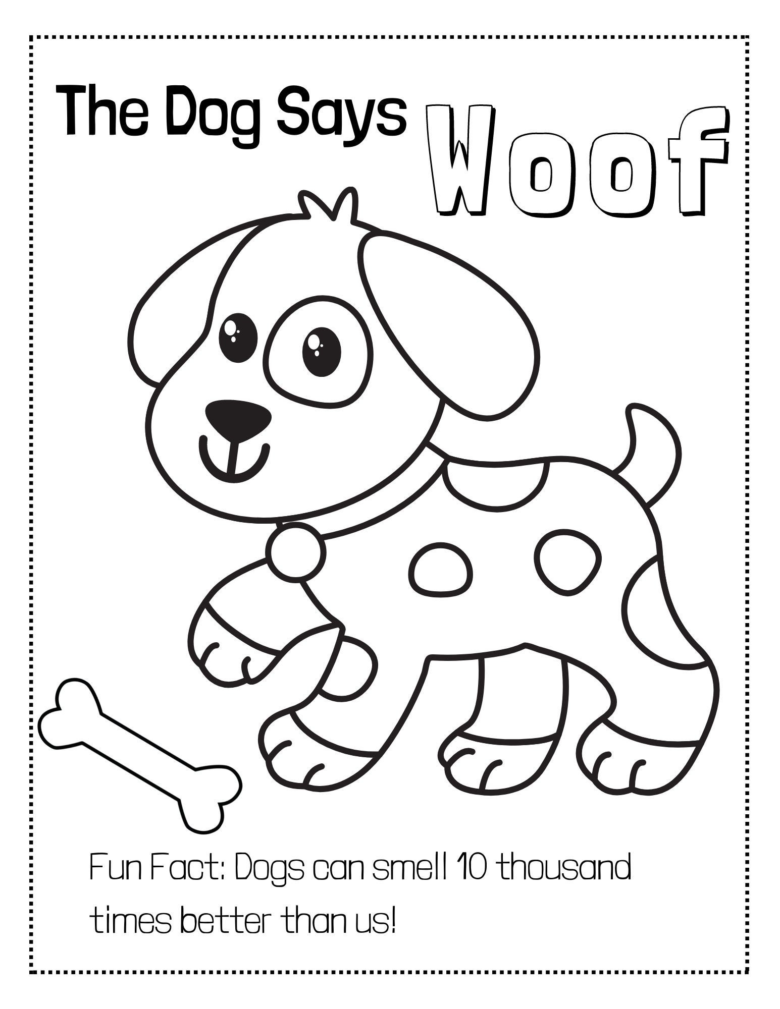 Animal Coloring Book, Learn About Animals for Toddlers, Home School ...