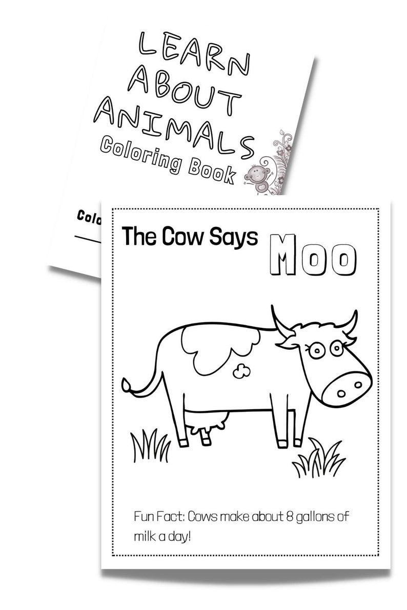Animal Coloring Book, Learn About Animals for Toddlers, Home School ...