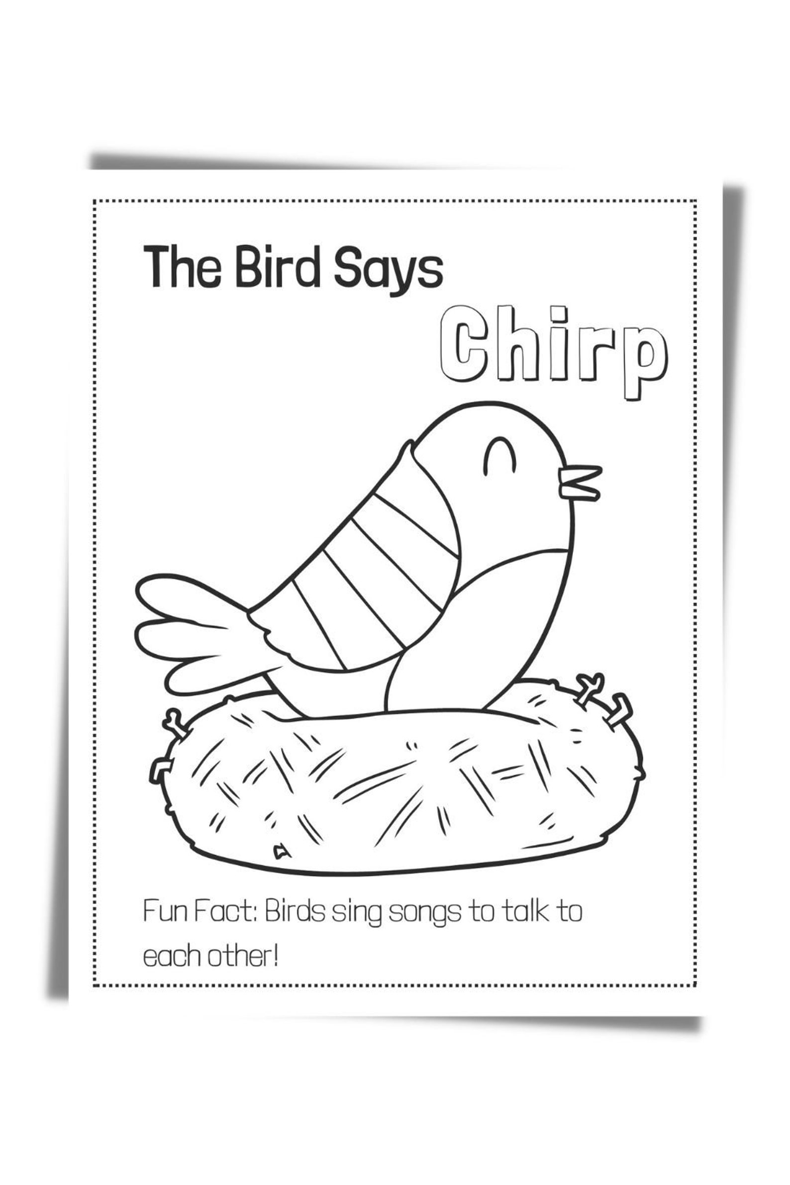 Animal Coloring Book, Learn About Animals for Toddlers, Home School ...