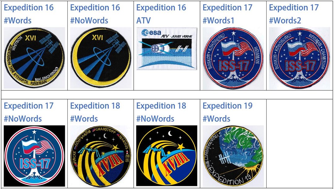 ISS Expedition 16 17 18 19 International Space Station ATV Badge Iron ...