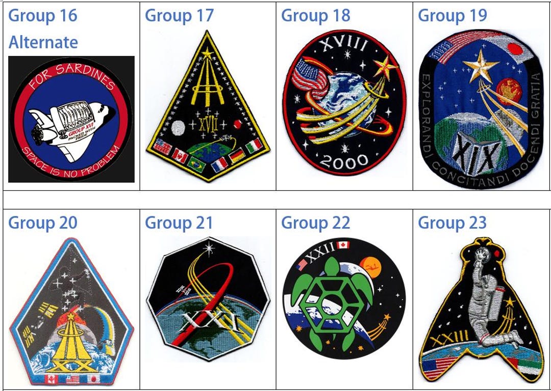 Human Space Flights NASA Astronaut Group 16-23 Astronauts Badge Iron on ...
