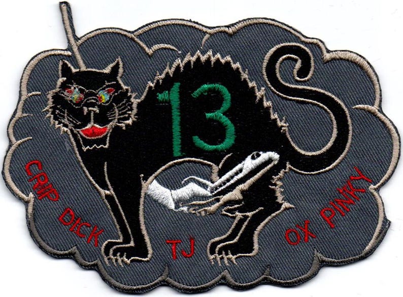Human Space Flights 1984-85 STS-41C Seeds Cat Solar Maximum Repair ...