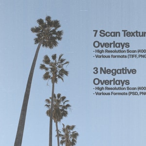 Scan Texture and Negative Film Overlay Pack | Adobe Photoshop | Adobe ...
