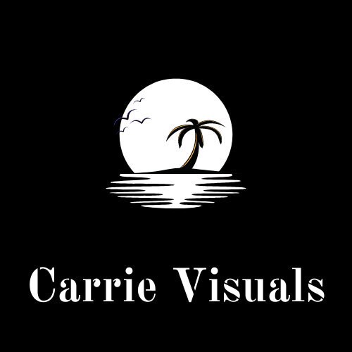 CarrieVisuals - Etsy