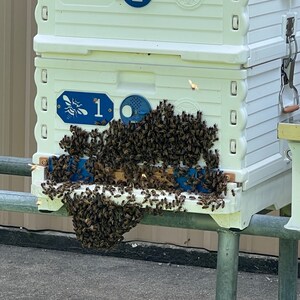 Apimaye Ergo Beehive Marker | Beehive Number Marker - Etsy