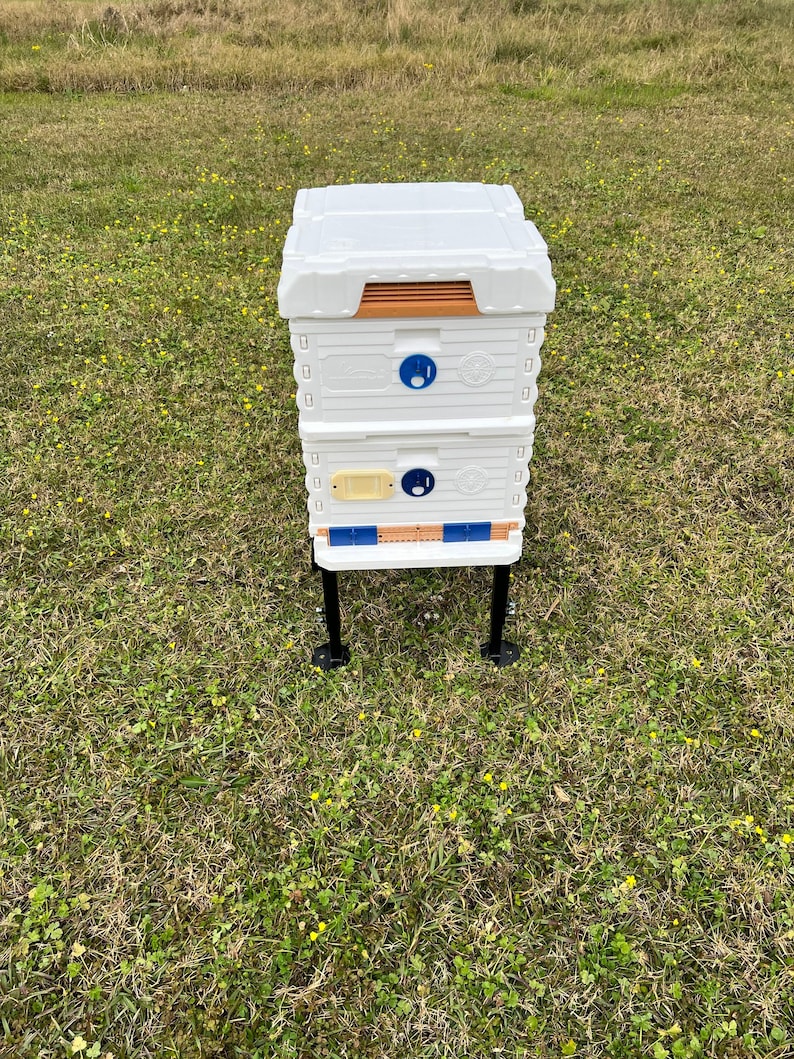 Apimaye Ergo Plus Hive Stand. Made in the US! - Etsy