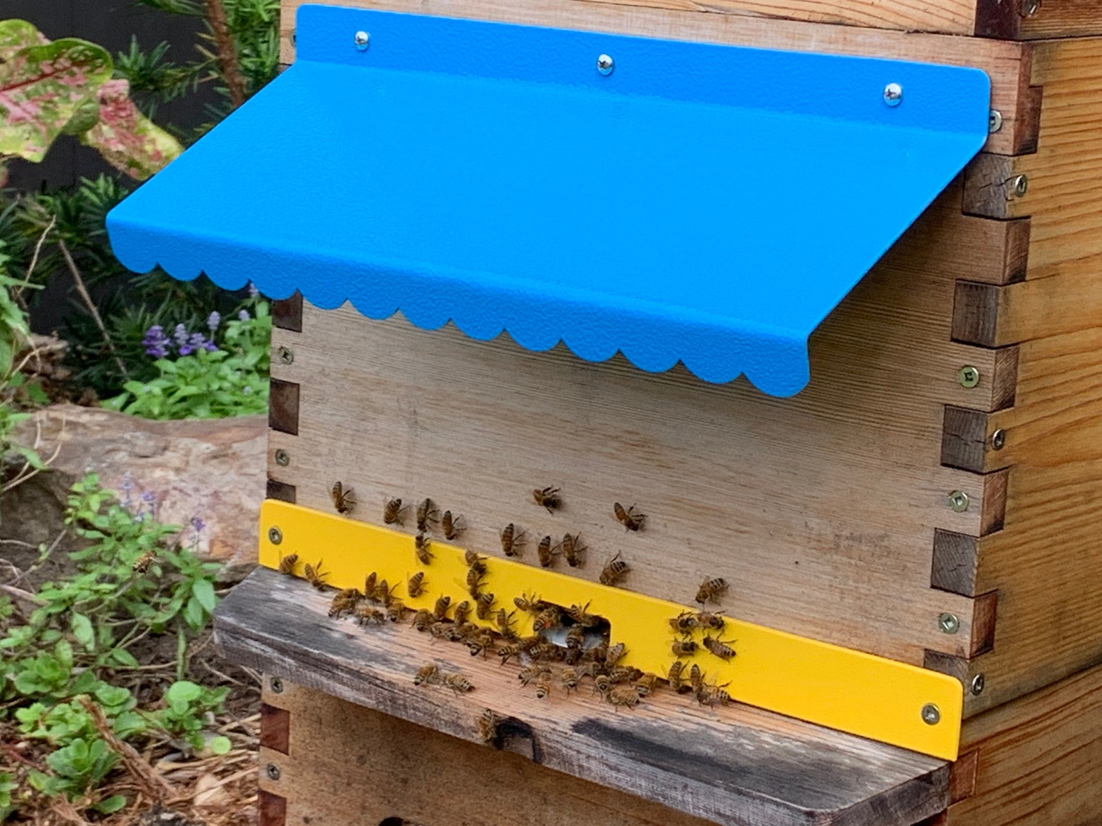 Beehive Rain and Snow Visor | Awning for Beehive | Snow and Rain ...