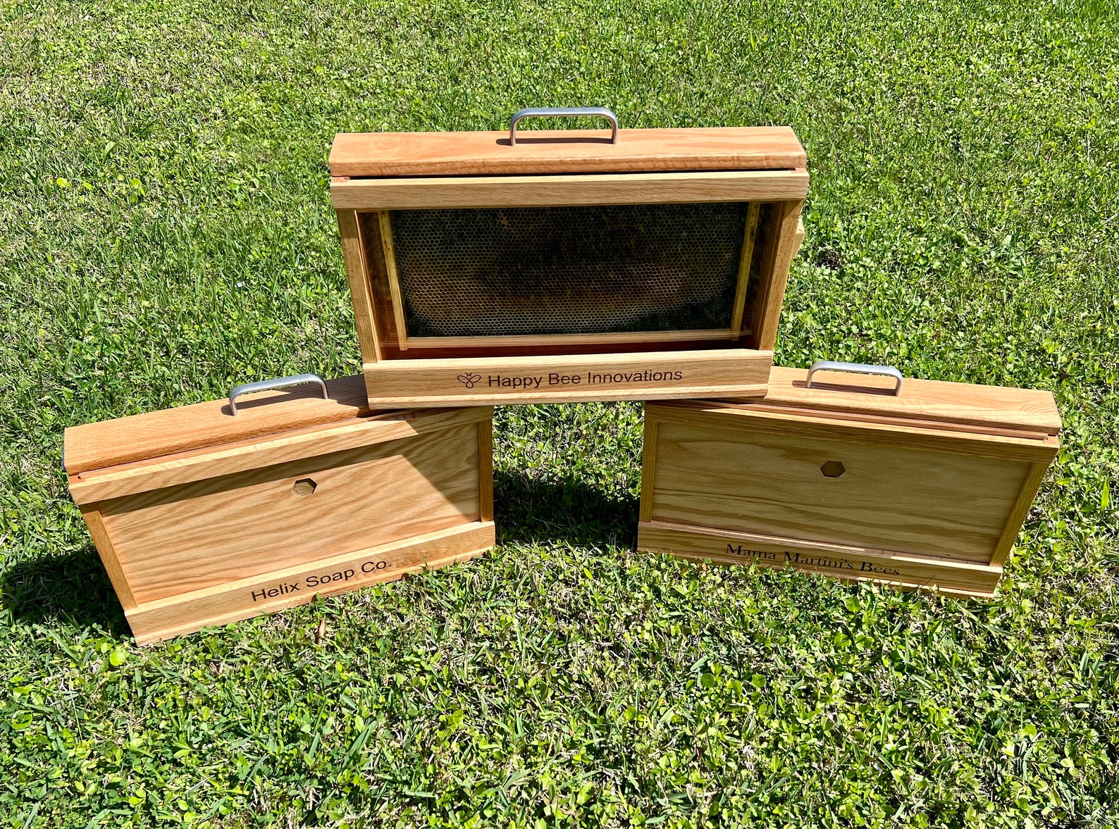 Observation Beehive Honeybee Educational Hive Made in the USA - Etsy