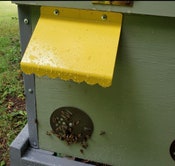 Beehive Inspection Log printable Digital Download - Etsy Canada