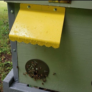 Layens Beehive Awning Visor | Snow and Rain Protection for Layens ...