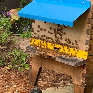 Beehive Rain and Snow Visor | Awning for Beehive | Snow and Rain ...