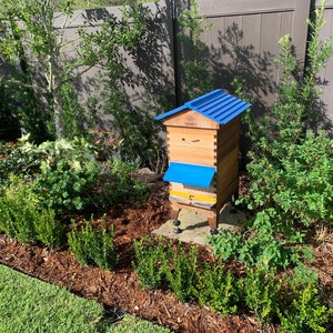 Beehive Rain and Snow Visor | Awning for Beehive | Snow and Rain ...