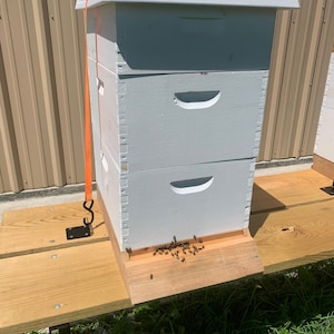 Beehive Cleats | Beehive Security Clamps | Beehive Wind Guards - Etsy