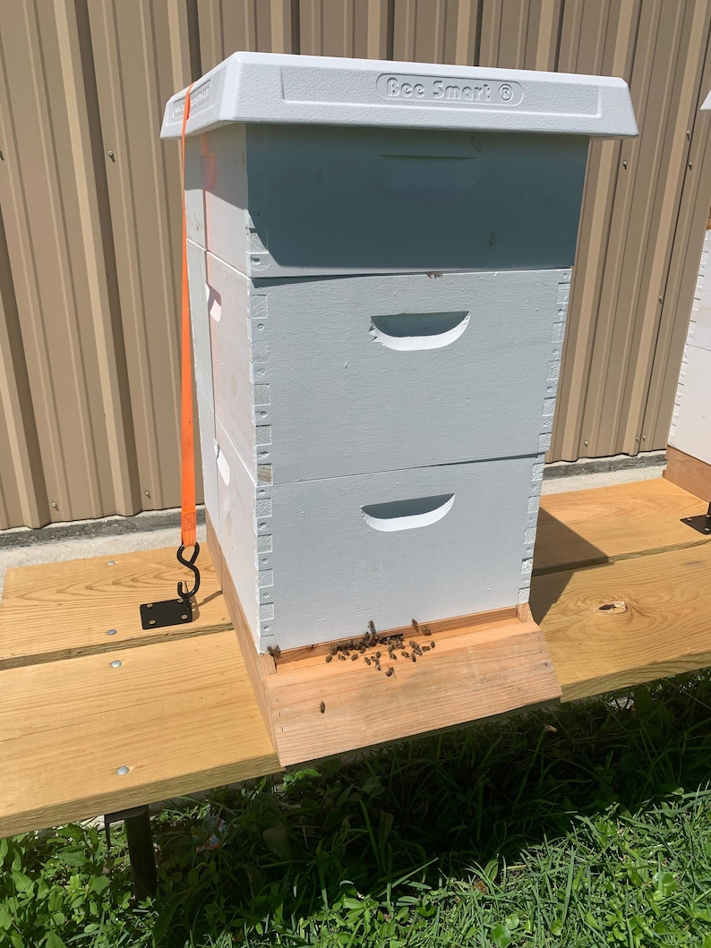 Beehive Cleats | Beehive Security Clamps | Beehive Wind Guards - Etsy