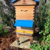 Apimaye 7 Frame Nuc Hive Stand. Made in the Us! - Etsy
