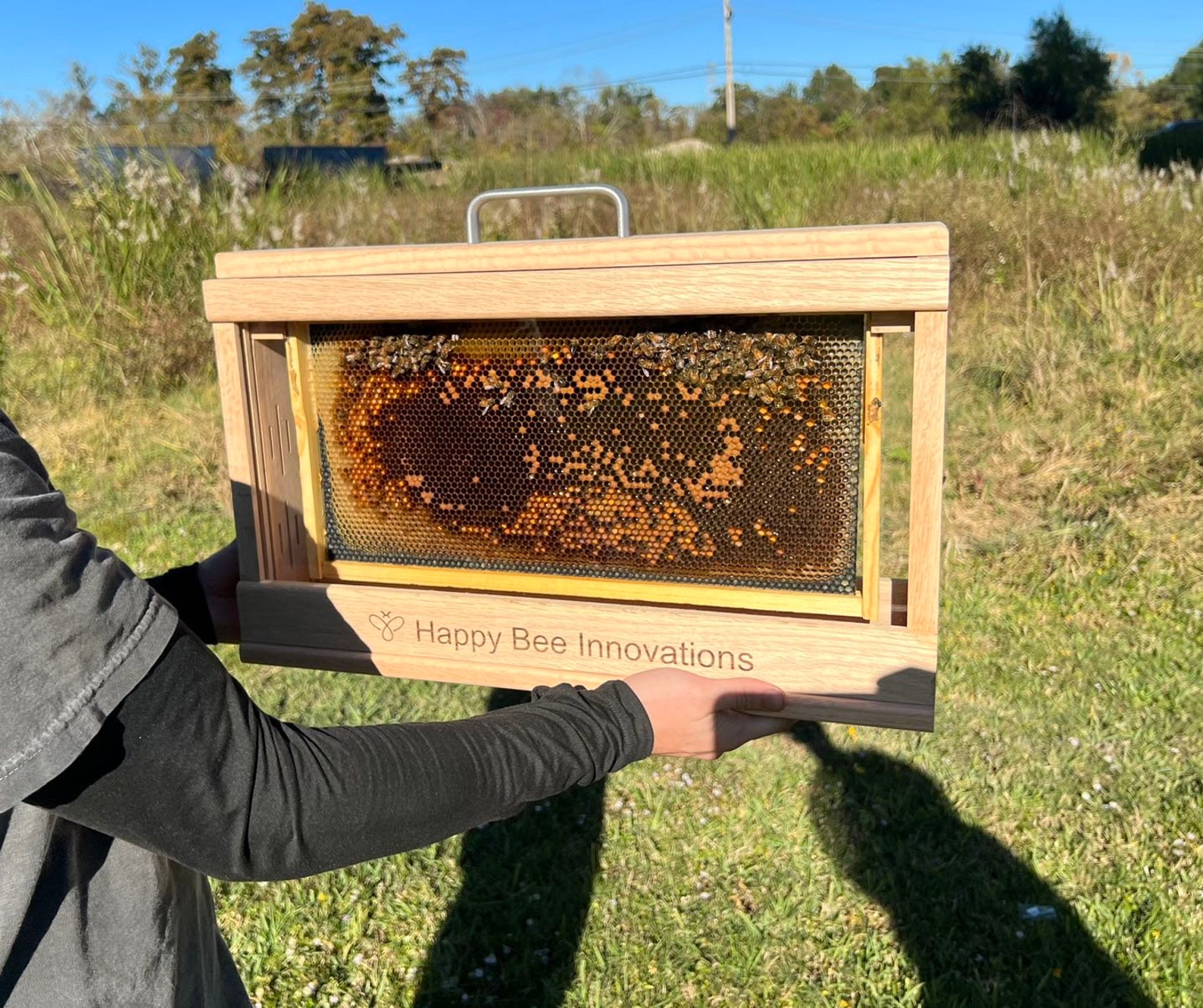 Observation Beehive | Honeybee Educational Hive | Made in the USA - Etsy