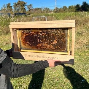 Observation Beehive | Honeybee Educational Hive | Made in the USA - Etsy