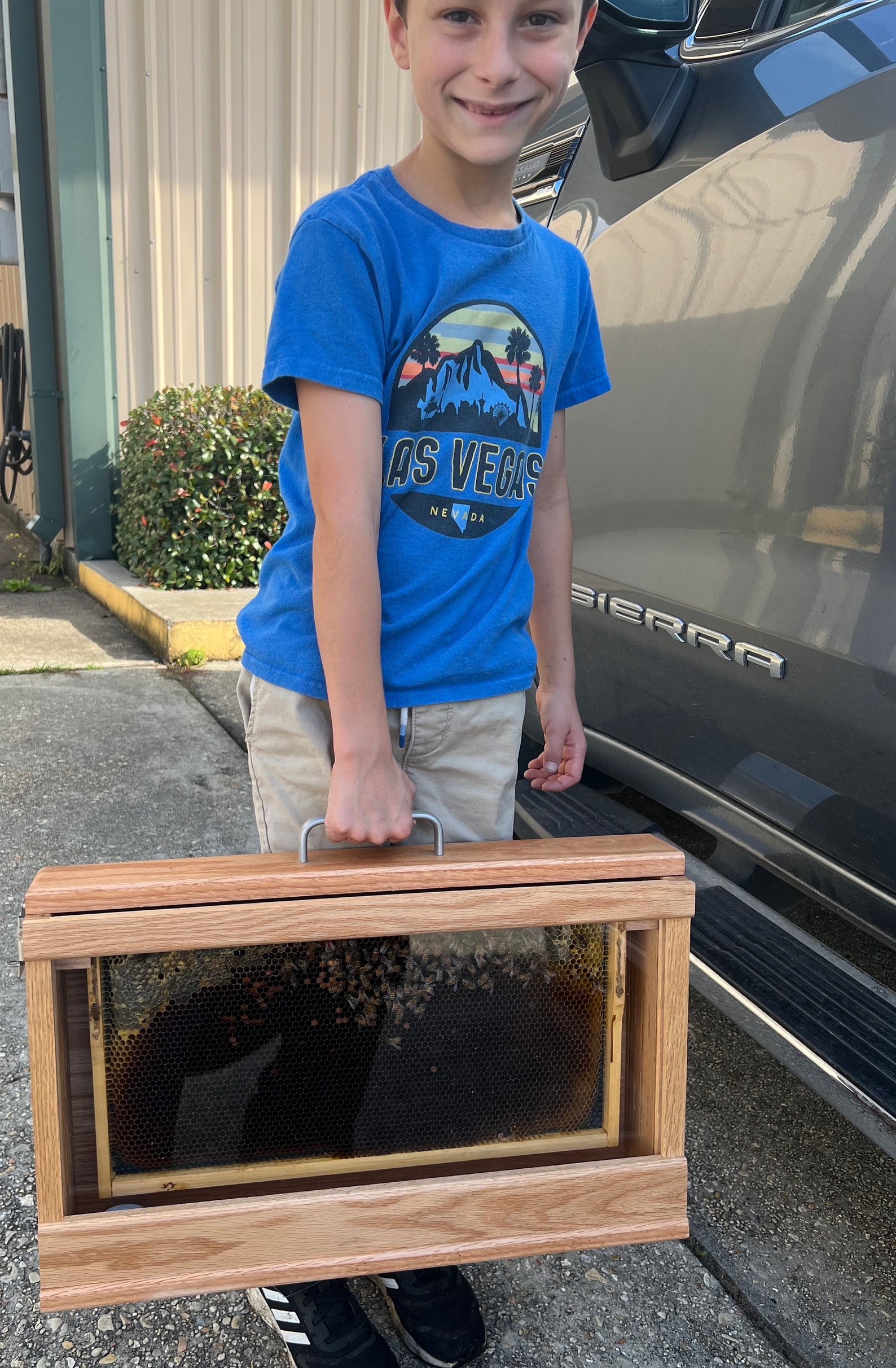 Observation Beehive | Honeybee Educational Hive | Made in the USA - Etsy