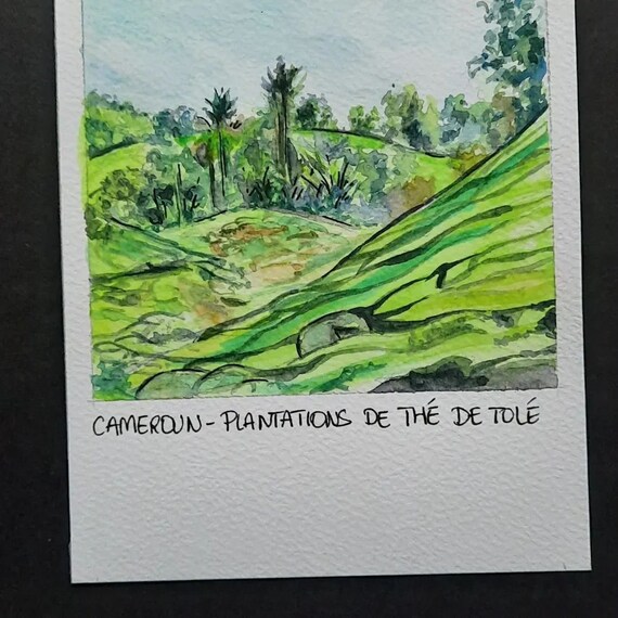 Illustrated Polaro Series cameroon Tolé Tea - Etsy