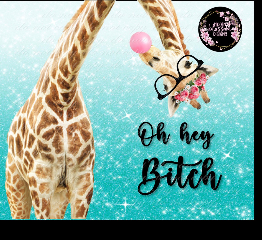 Oh Hey B*tch (giraffe) Teal Sparkle 20 Oz Skinny Tumbler Design ...