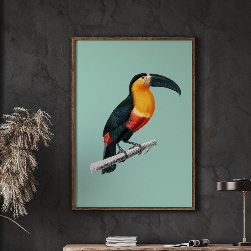 Toucan Art - Etsy