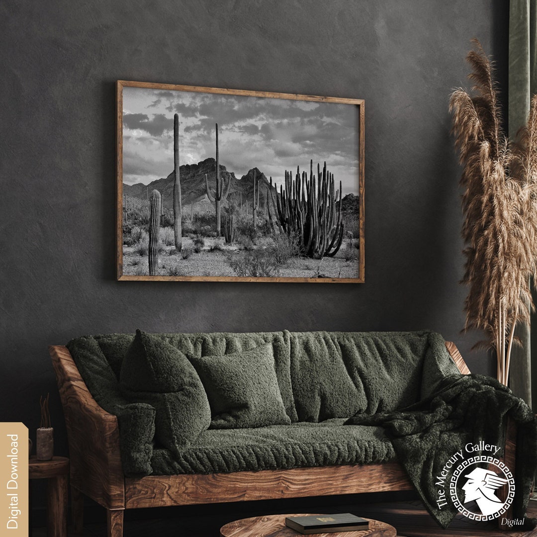 Vintage Desert Landscape Wall Art, Black and White Desert Art ...