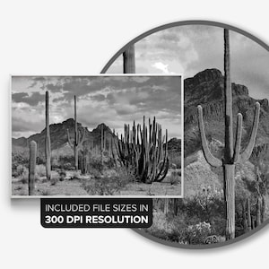 Vintage Desert Landscape Wall Art, Black and White Desert Art ...