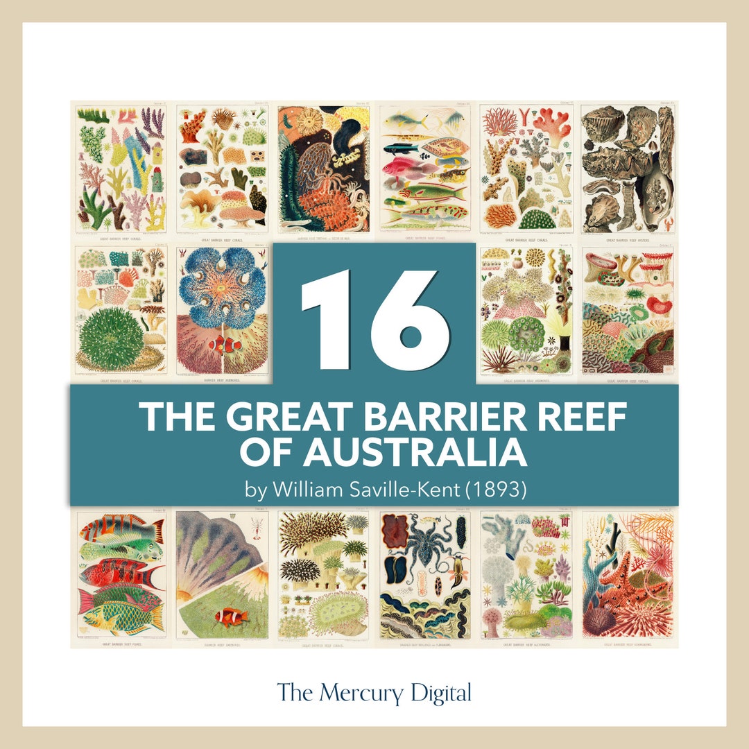 Great Barrier Reef Set of 16, Vintage Sea Coral Print, Fish Poster ...