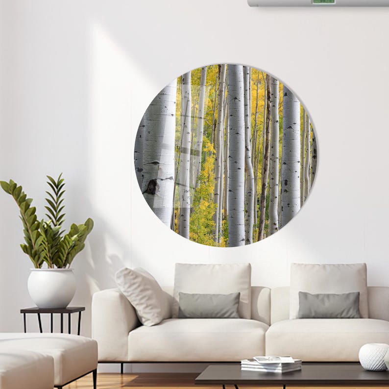 Birch Tree Forest Glass Art: Landscape Wall Decor - Etsy