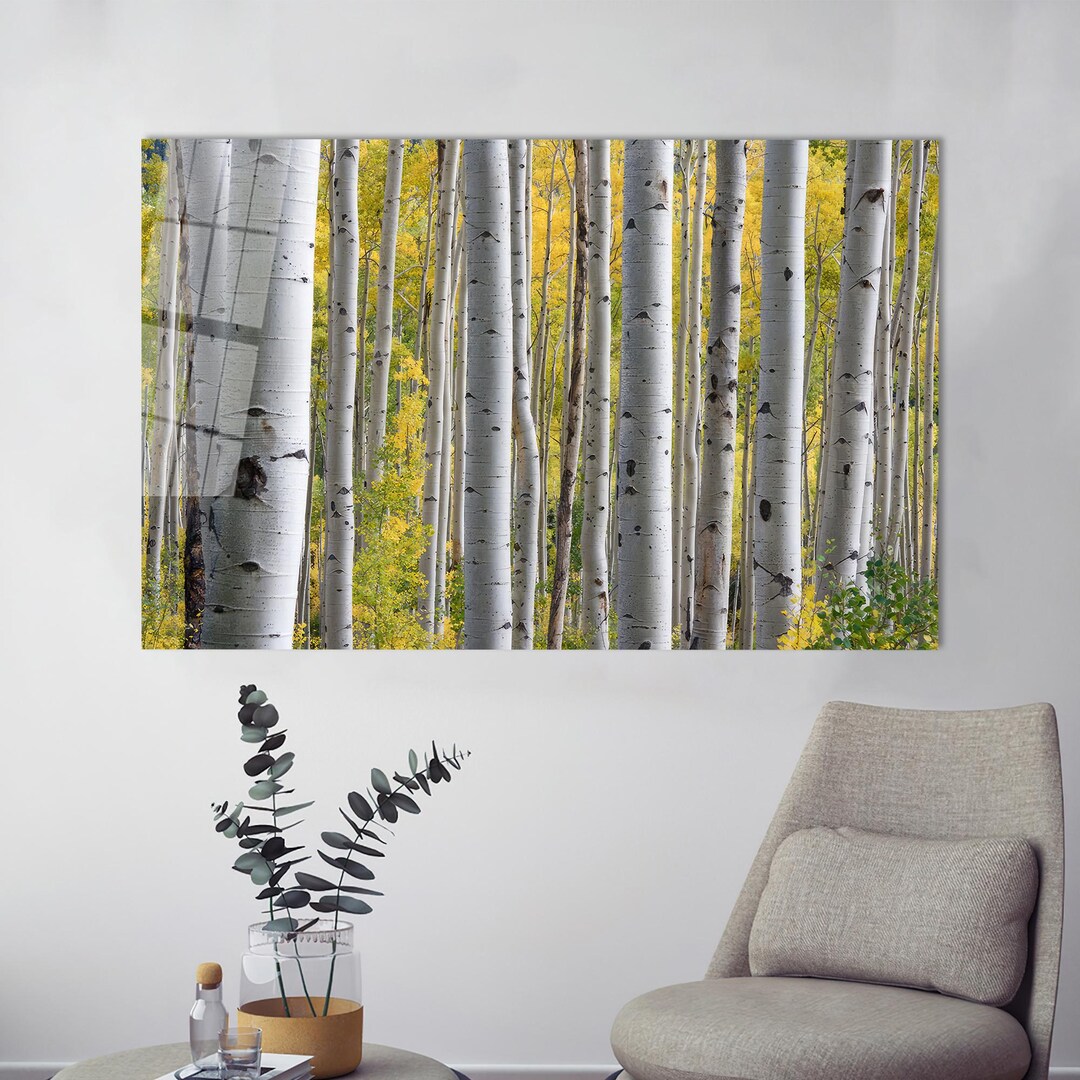 Birch Tree Forest Glass Art: Landscape Wall Decor - Etsy