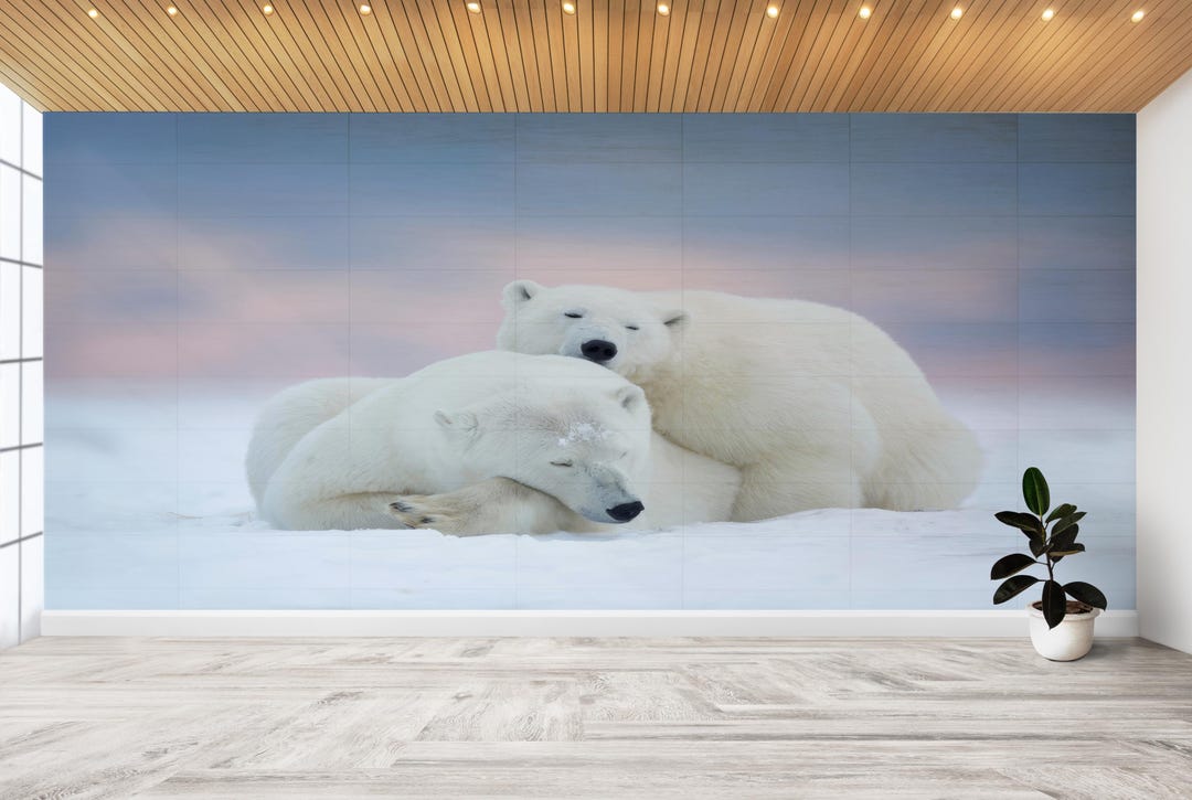 Polar Bear Wallpaper: Sleeping Bears Wall Decor, Animal Wall Print - Etsy