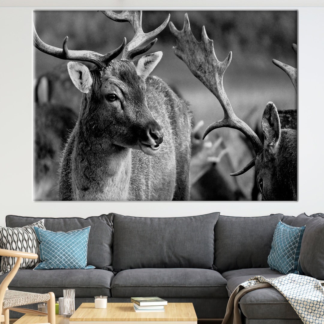 Deer Wildlife Photo Print, Loft Poster, Deer Photo Canvas, Wildlife ...