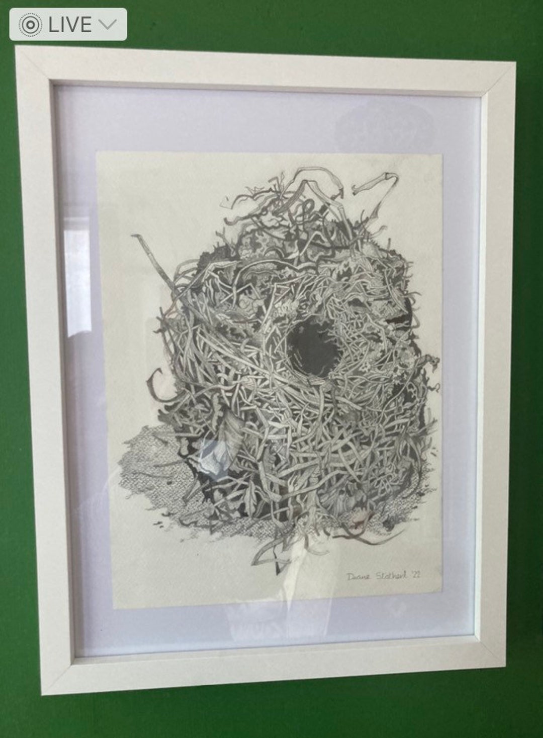 Hand Drawn Nest. - Etsy
