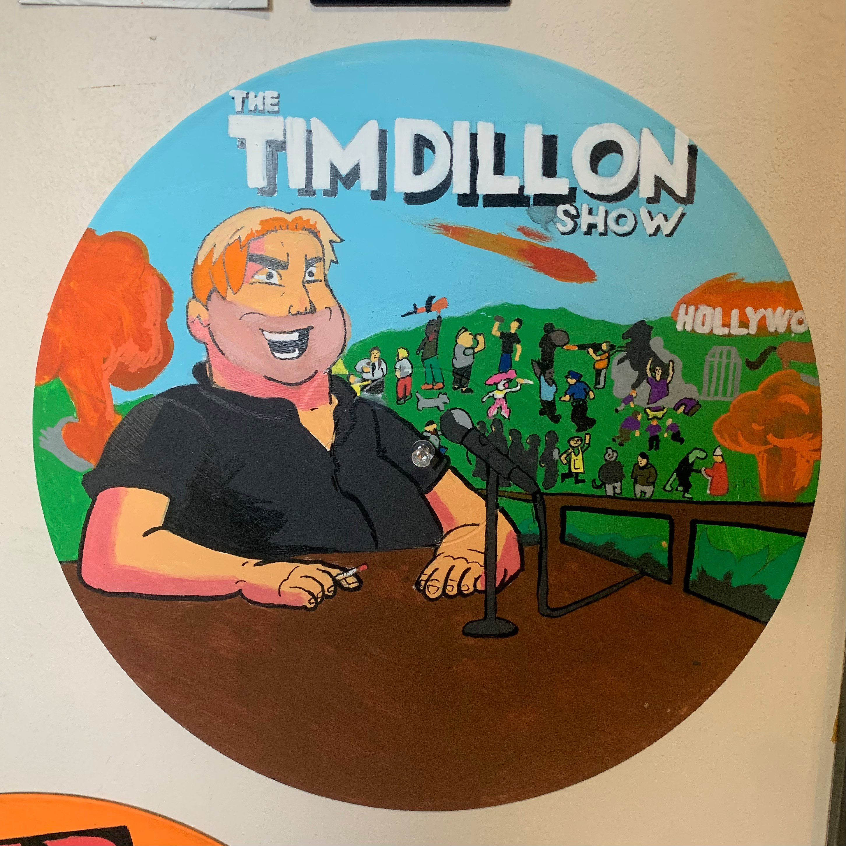 Tim Dillon Show Hand-painted Logo Podcast Art on Vinyl Record - Etsy