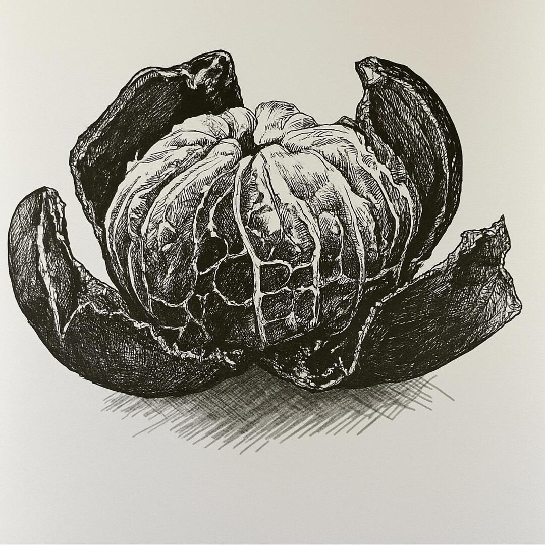 Black Ink Drawing of Peeled Satsuma – Citrus Fruit Digital Print ...