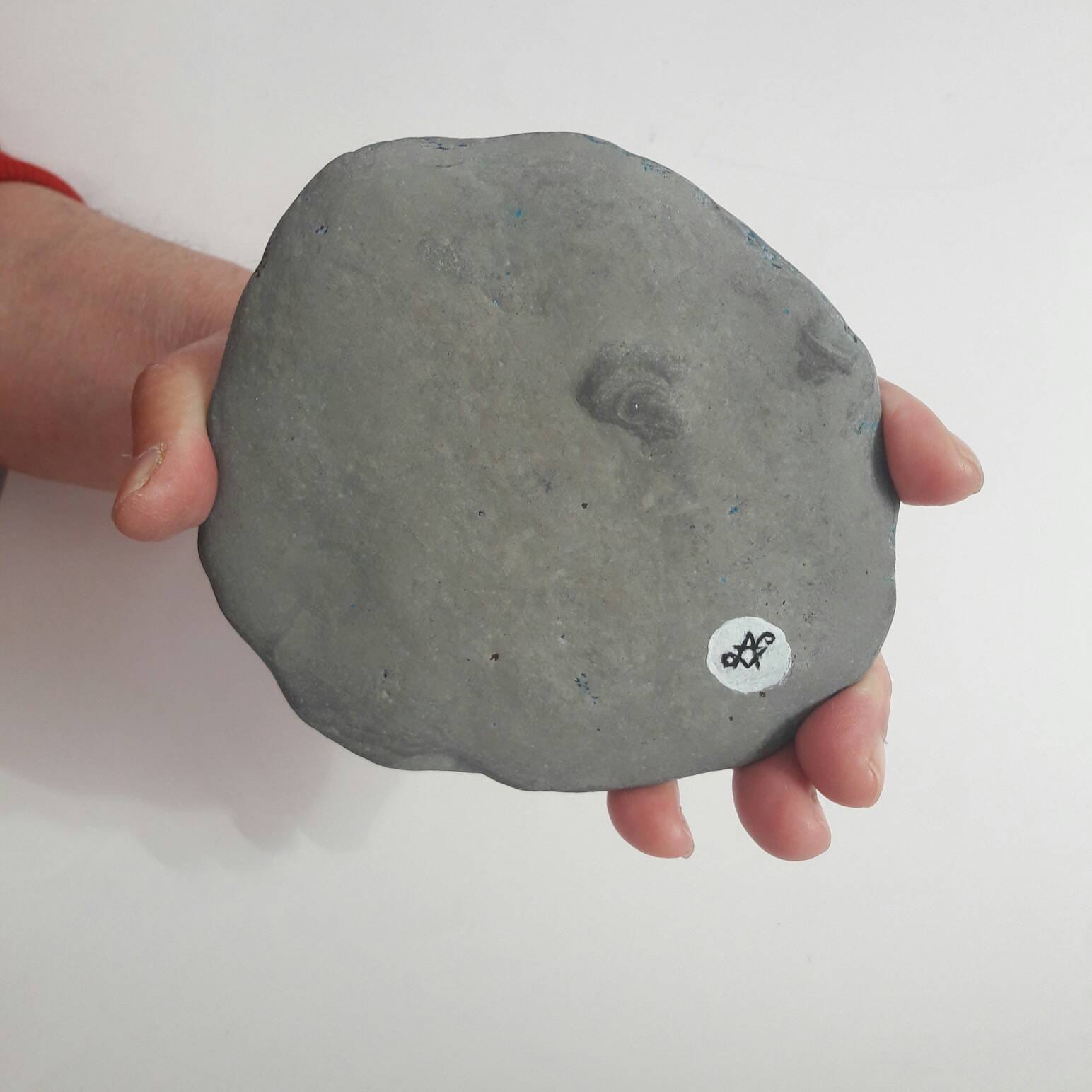 Sunset Hill Tulips Stone Art, Hand Painted Rock, Custom Sunset Hill ...