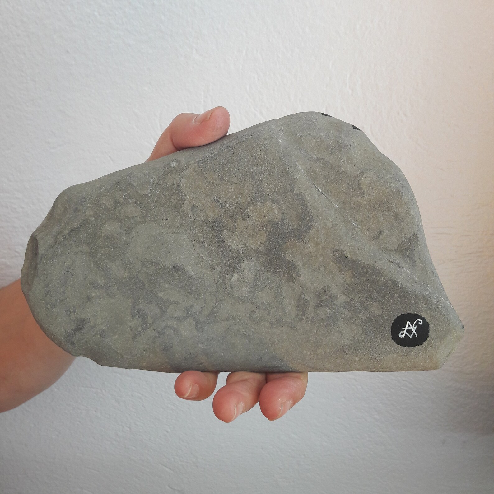 Acrylic Stone Painting of a Forest Scenery in Sunset,acrylic Landscape ...