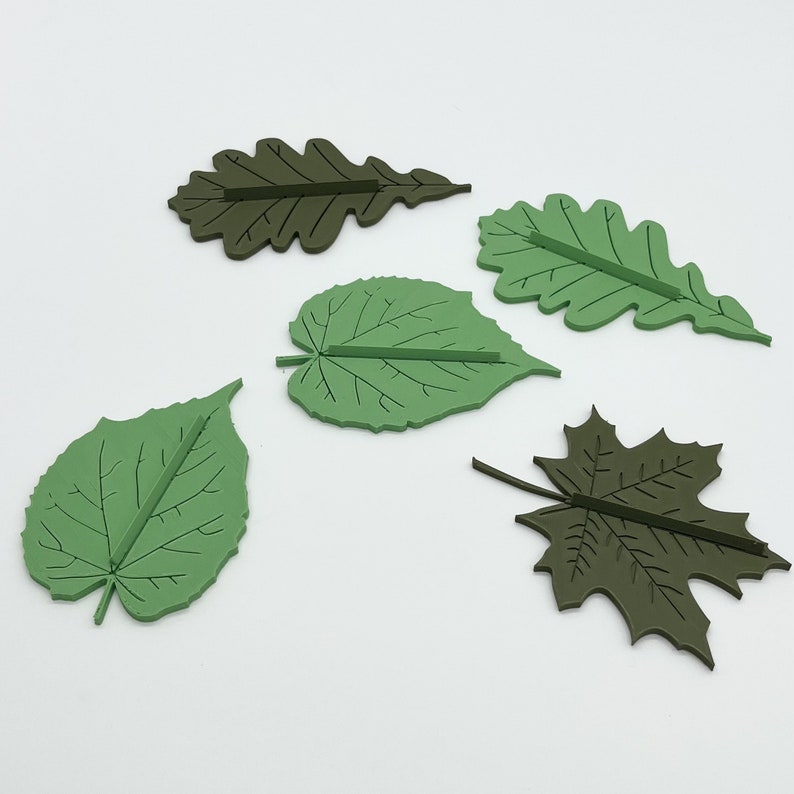 Cascadia Compatible Leaf Card Display - Nature Themed Tabletop ...