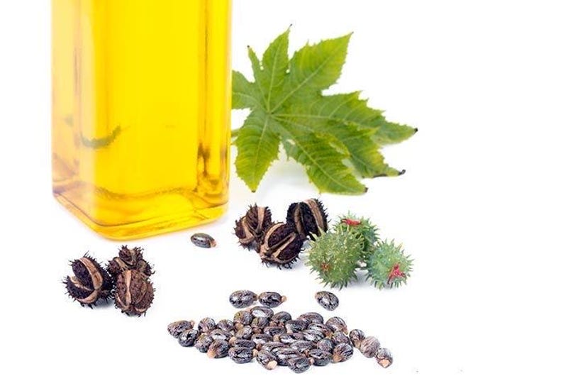 Pure Castor Oil - Etsy