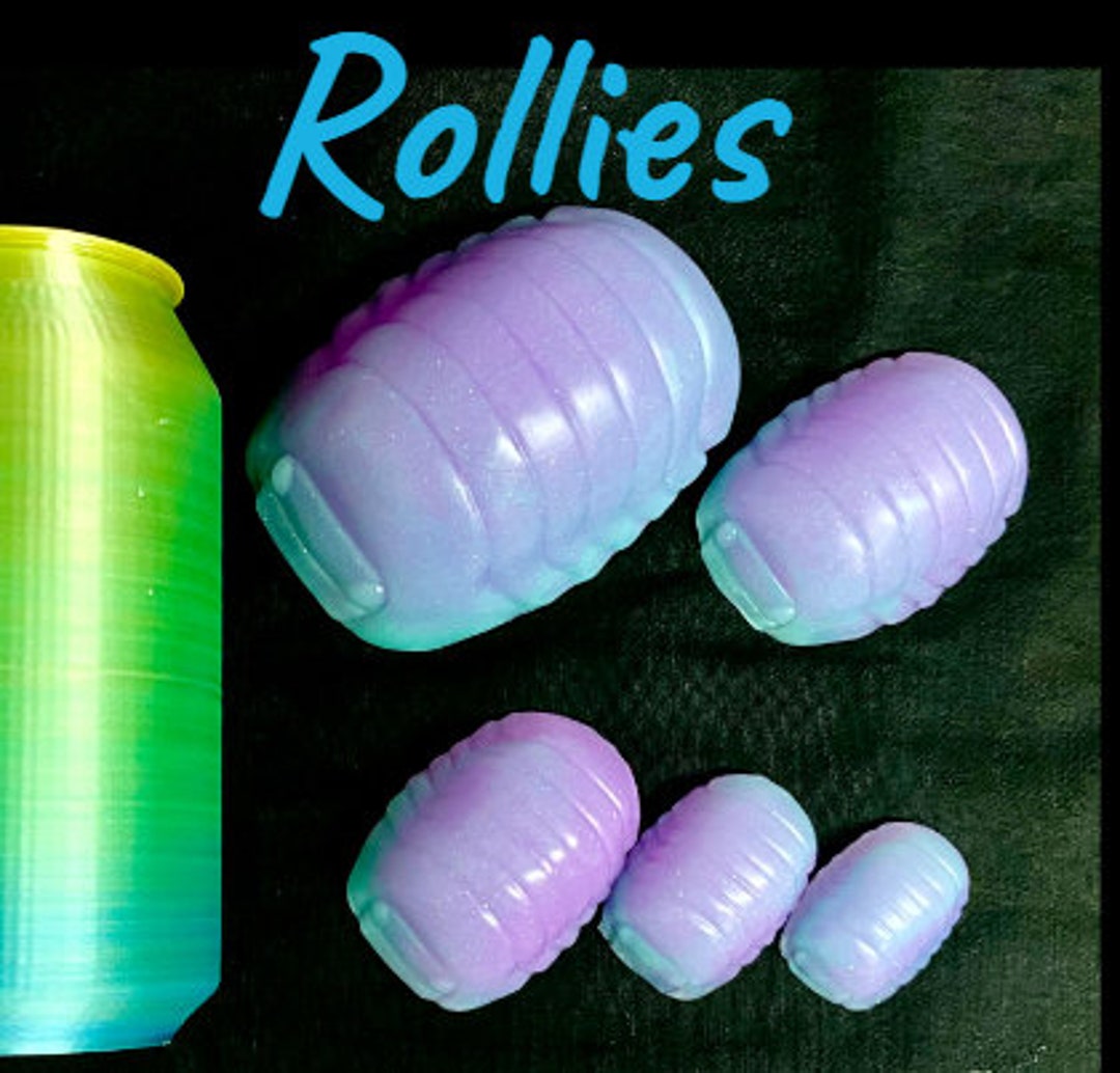 CUSTOM Isopod Roly Poly Squishy Toy Fidget Squishy Rollies Set of 5 Bug ...